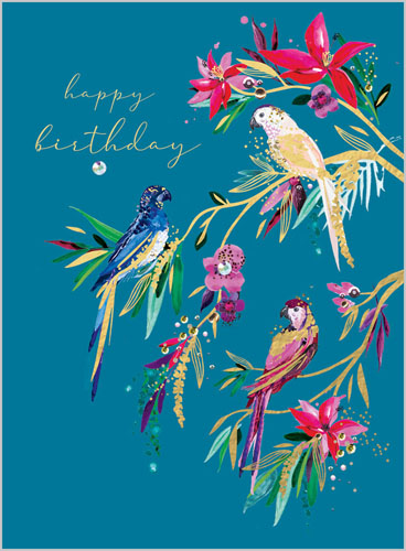 Abacus Cards - Birthday Parrots Birthday Card #AB14825
