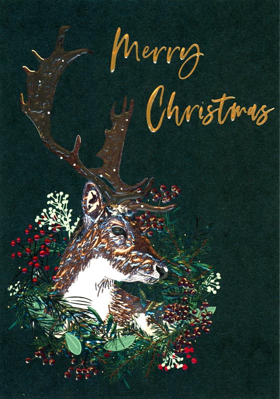 Belly Button Designs - Christmas Stag Christmas Card #ELX022NQ