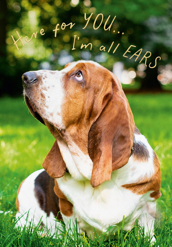 Abacus Cards - Thinking Of You All Ears Greeting Card #AB15098
