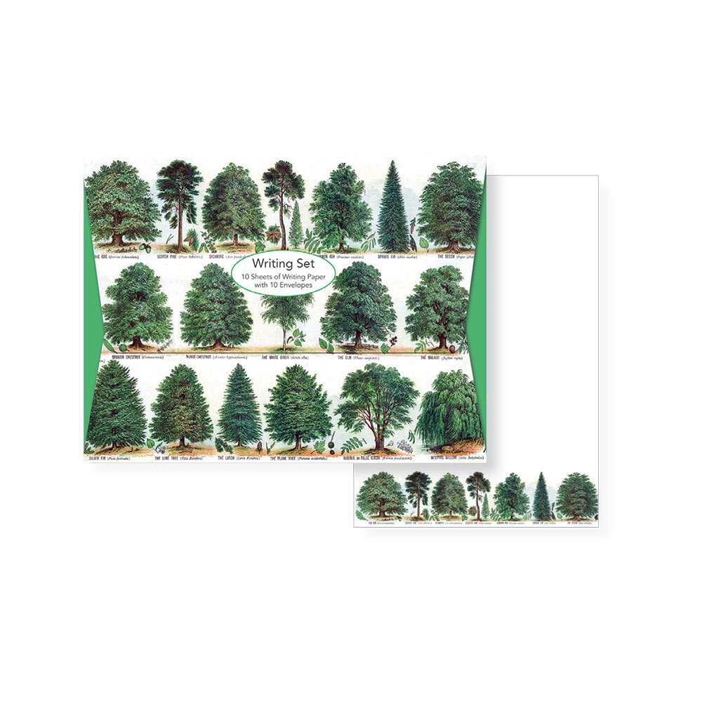 Museums & Galleries - British School Illustration Our British Trees ...