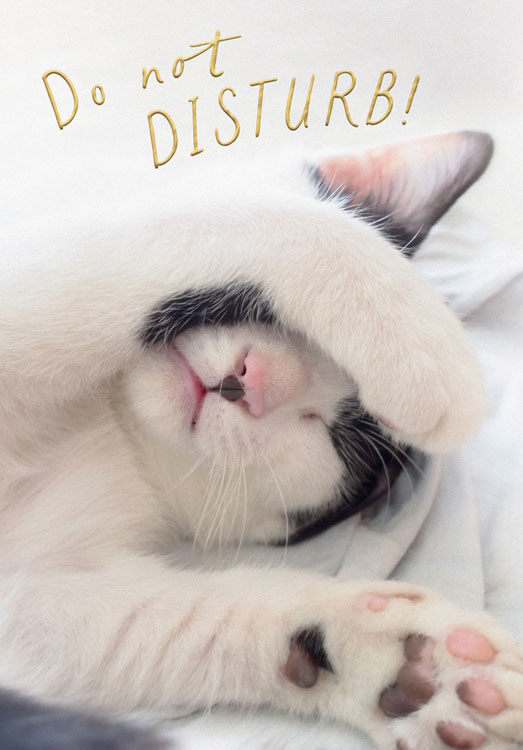 Abacus Cards - Do Not Disturb Blank Card #AB15072