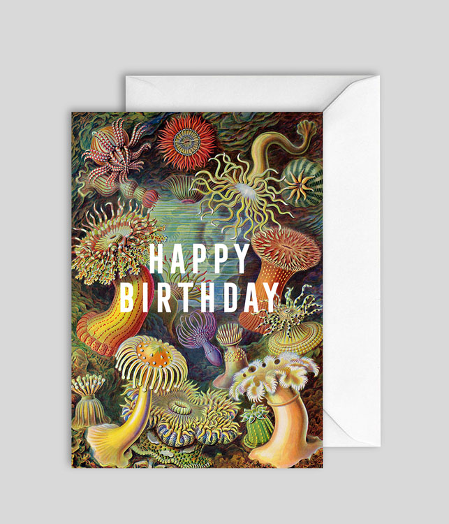 The Dybdahl Co - Sea Life Birthday Card #DD7521